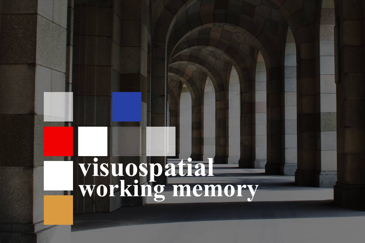 Effects Of Pointing Movements On Visuospatial Working Memory In A Joint Action Condition