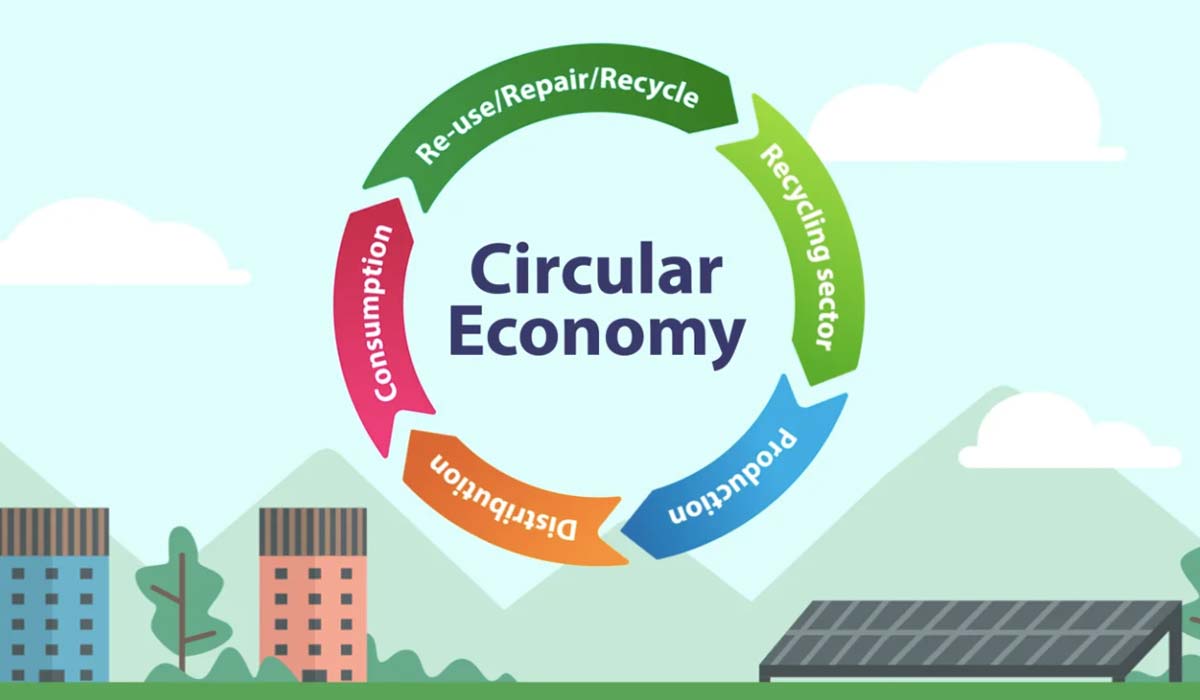 Circular economy research: A bibliometric analysis (2000–2019) and ...